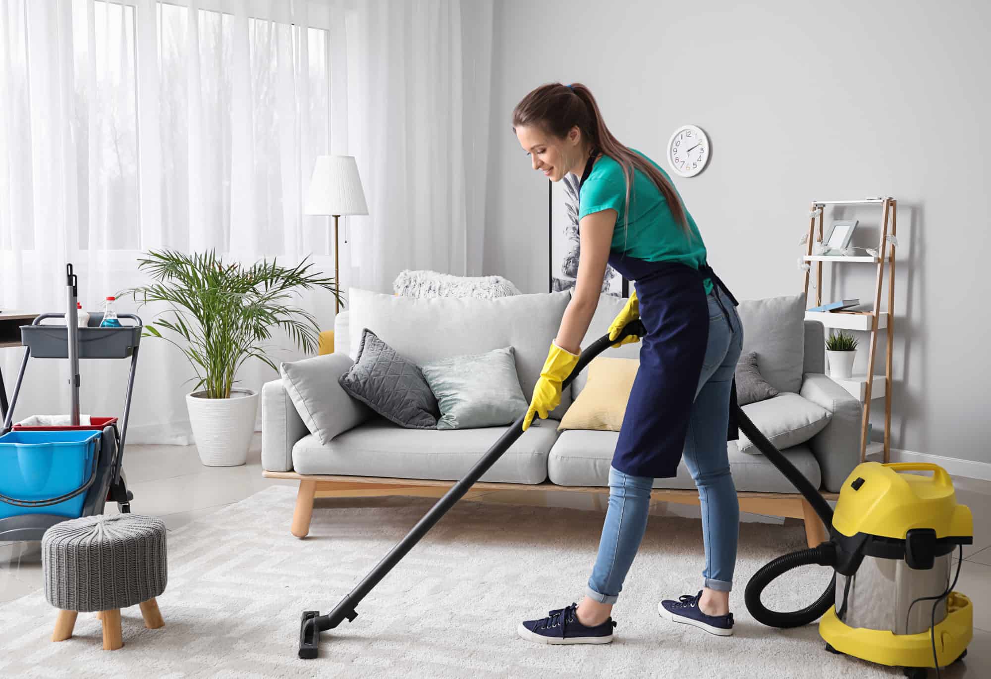 When Is Clean Really Clean Deep Clean Vs Regular Clean Anita s 