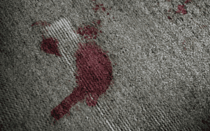 Smart And Simple Steps To Get Blood Out Of Carpet - Anita's Housekeeping