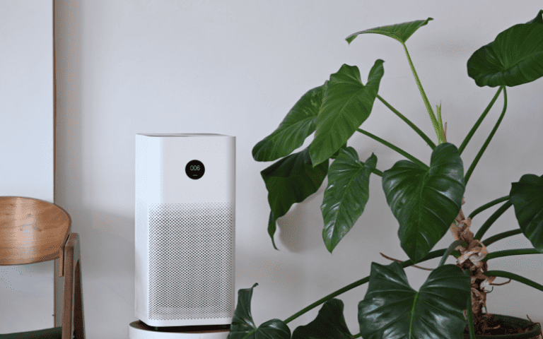 How To Eliminate Smoke Odor In House Quickly And Effectively
